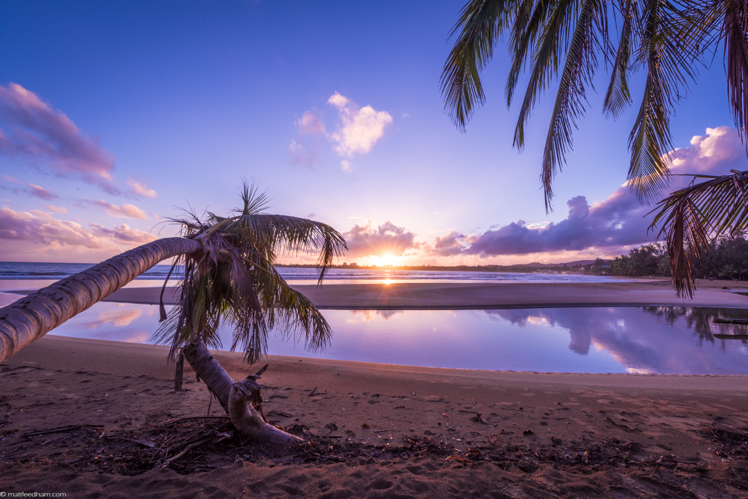 Puerto Rican Paradise