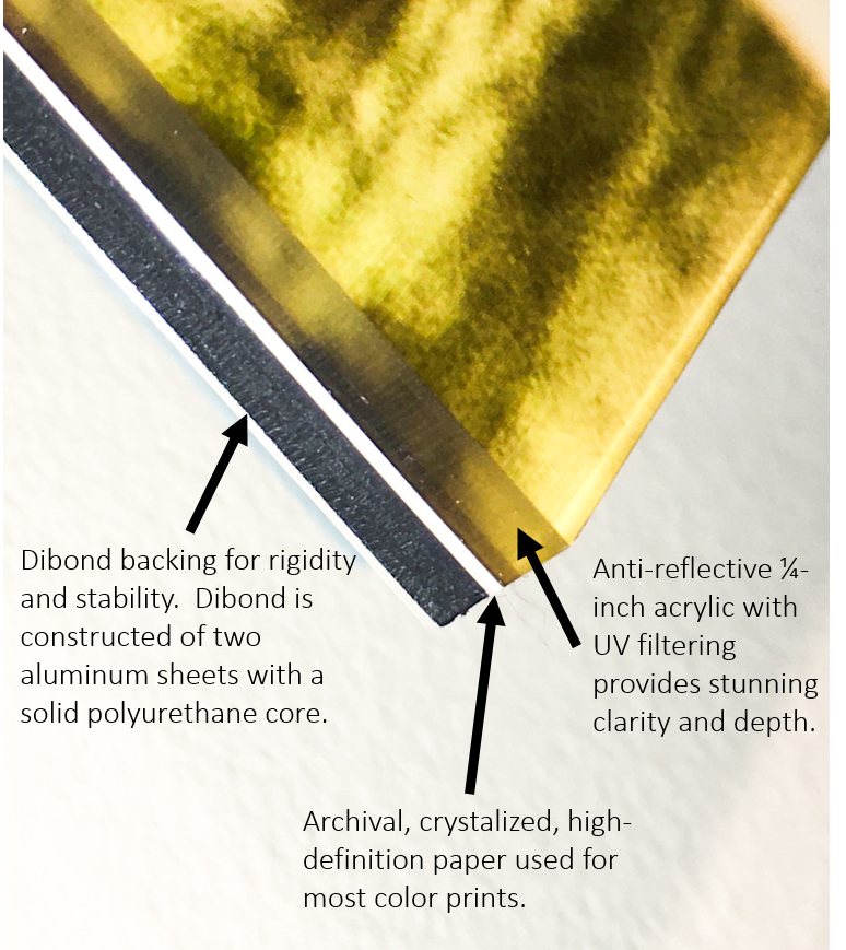 Face-Mounted Diagram